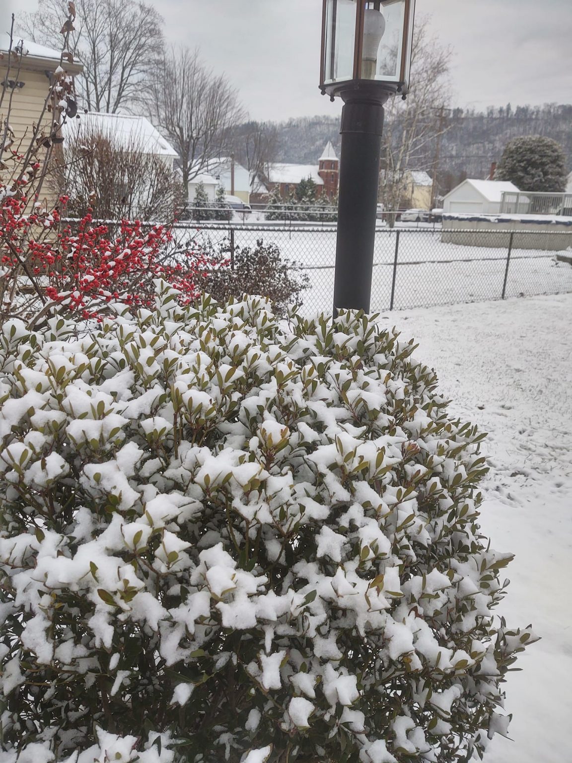 Natives In Winter | Native Creations